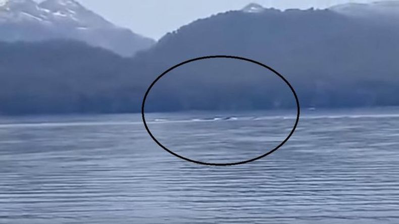 Video: turistas grabaron la aparición de Nahuelito en un lago de Neuquén