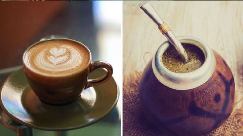 ¿El mate con café hace bien? Qué dicen los estudios sobre combinar las ...