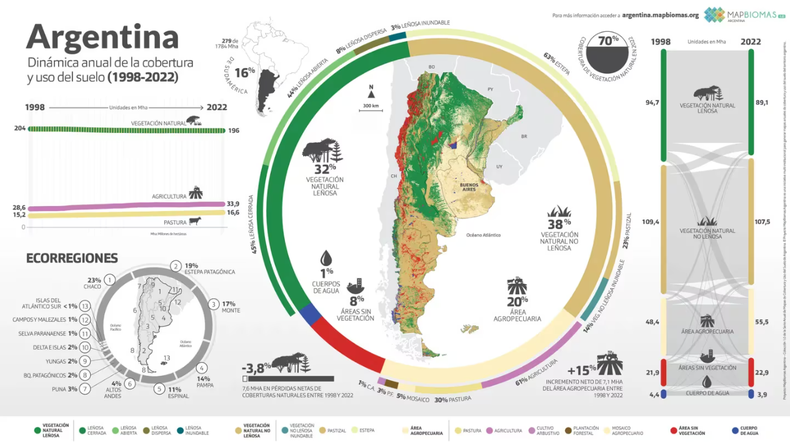 Argentina perdió 7,6 millones de hectáreas de vegetación en los últimos ...
