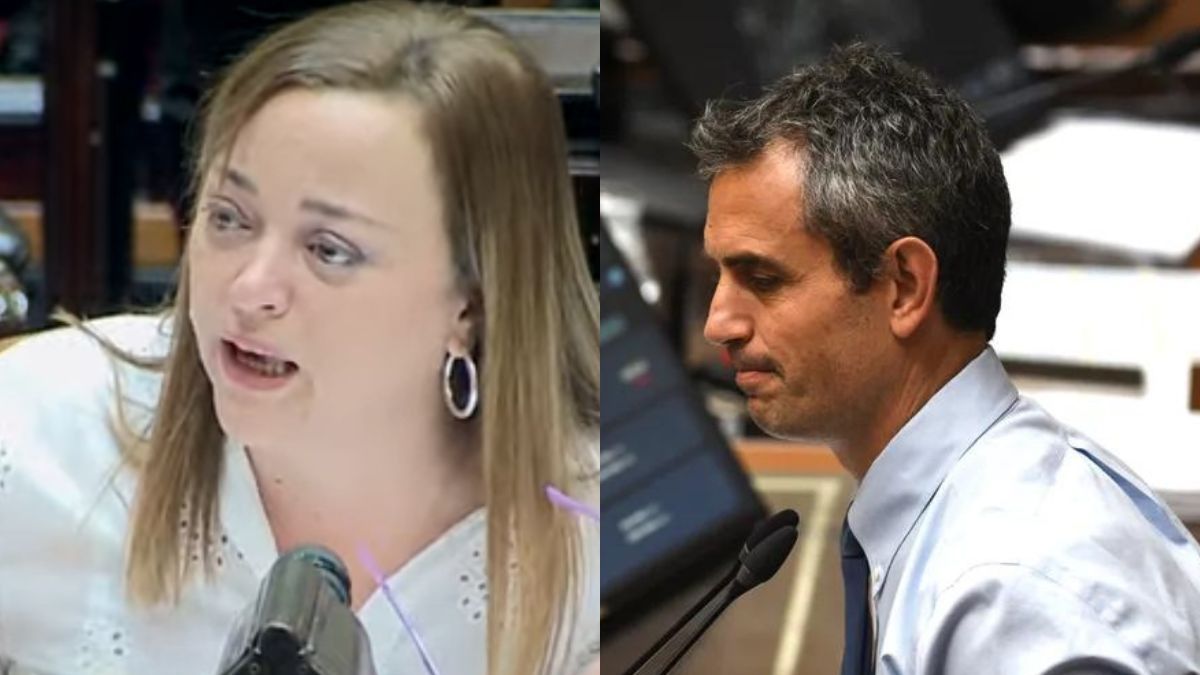 Diputados: Cecilia Moreau cruzó a Martín Menem y lo tildó de machirulo