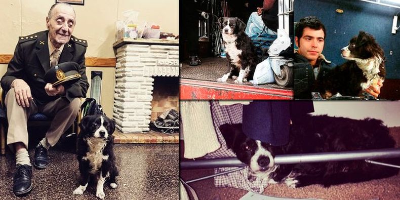 La historia de Yeso, el perro de Nazareno Casero: su aparición en las ...