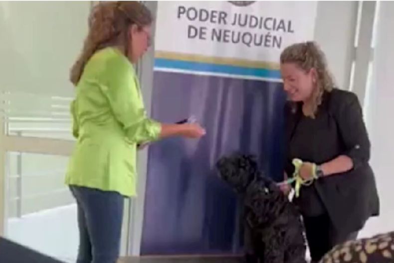 Viral: le tomaron juramento a un perro en el Poder Judicial de Neuquén