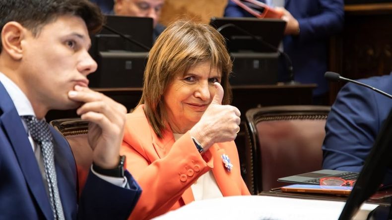El insólito video de Patricia Bullrich al ritmo de Madonna para ...