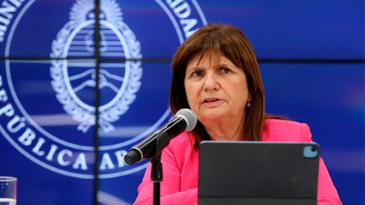 Patricia Bullrich presentará un operativo narco que decomisó 500 kilos ...