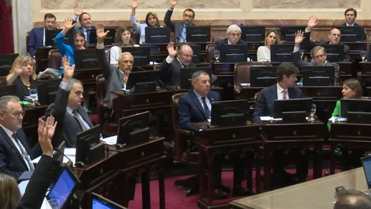 Tres senadores pidieron que los excluyan del aumento de sueldo que se votó en el Congreso