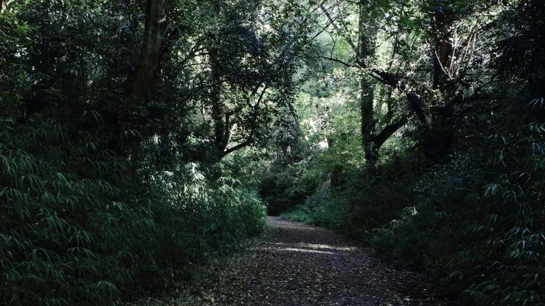 La escapada cerca de Buenos Aires a un parque encantador que pocos conocen