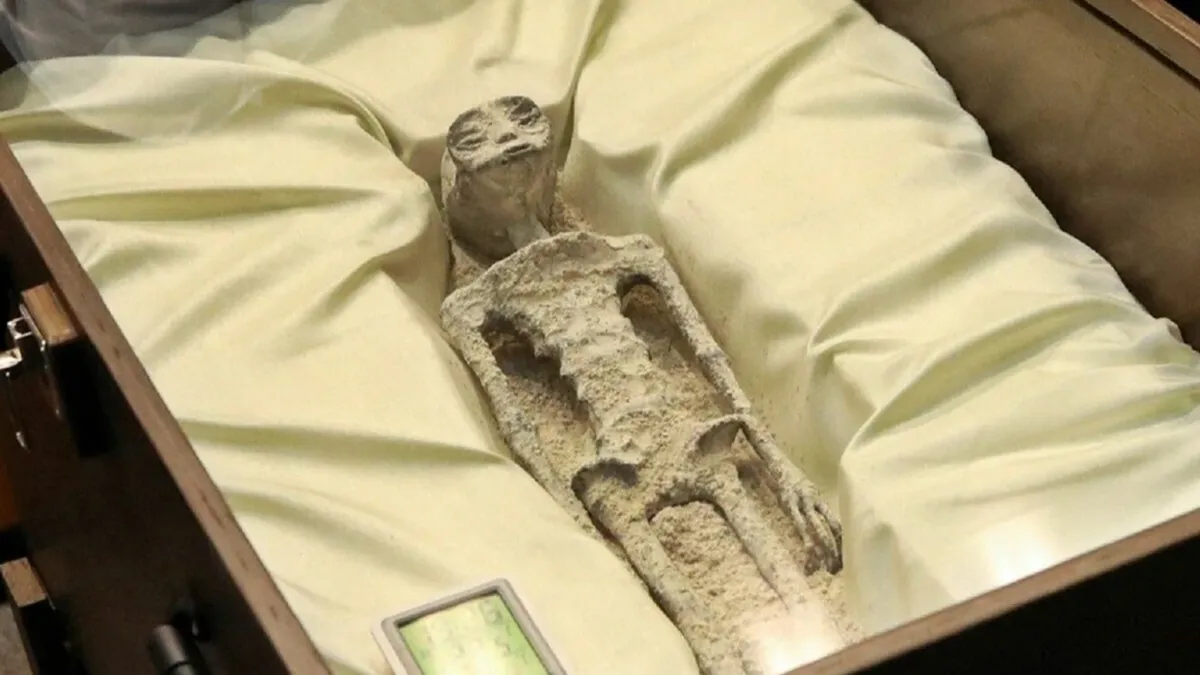 Un ufólogo mostró cadáveres extraterrestres no humanos de mil años de ...